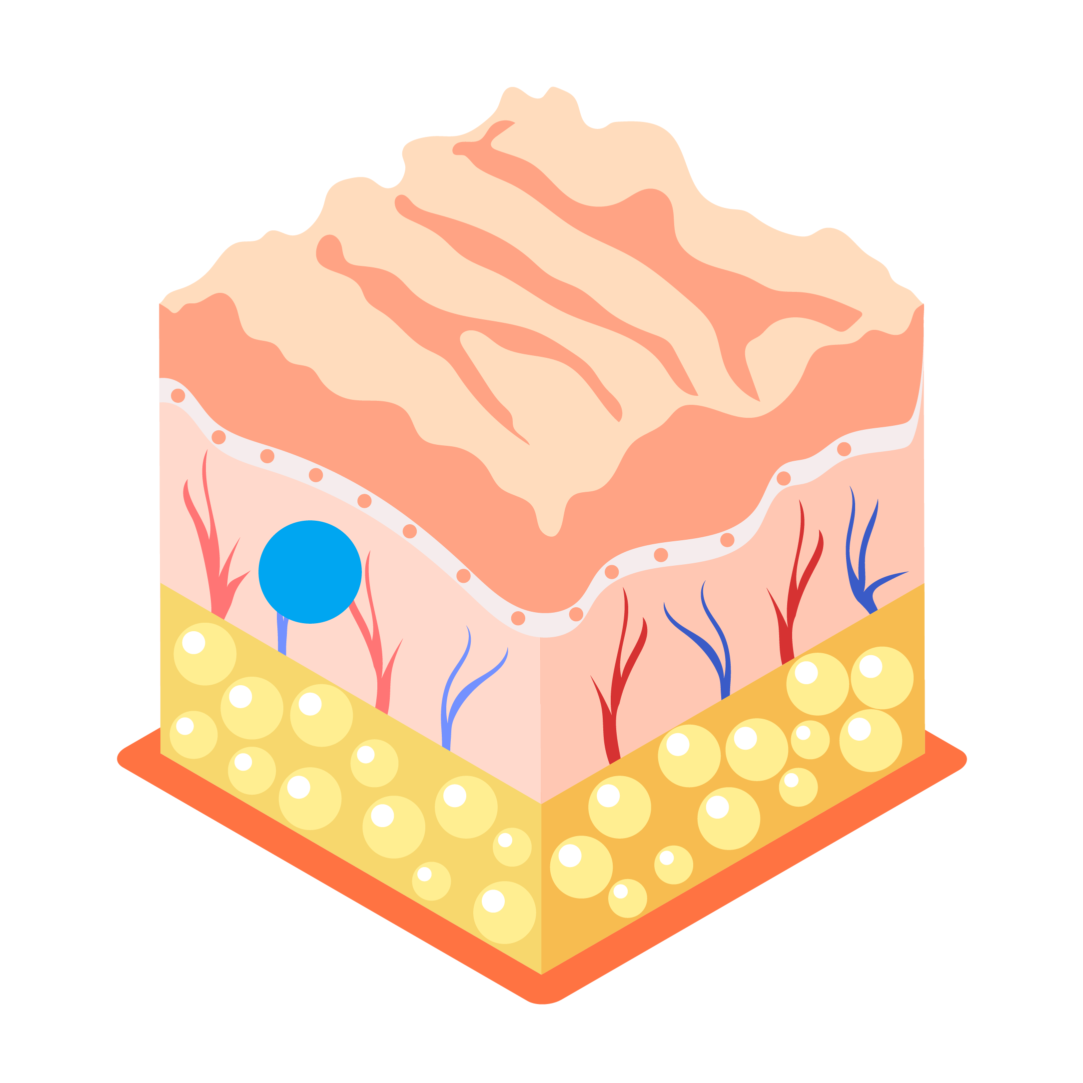 Hyaluronic-Acid玻尿酸 - 蘇黎世診所.整形外科.醫學美容